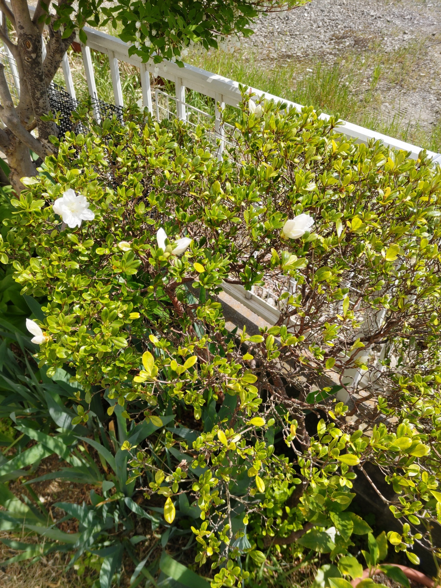 「農業の軽視は命の軽視」: なるほど！Blog